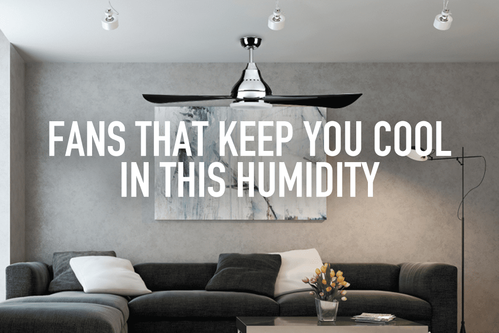 Fans that make keeping cool at home a breeze - Redbrick Mortgage Advisory